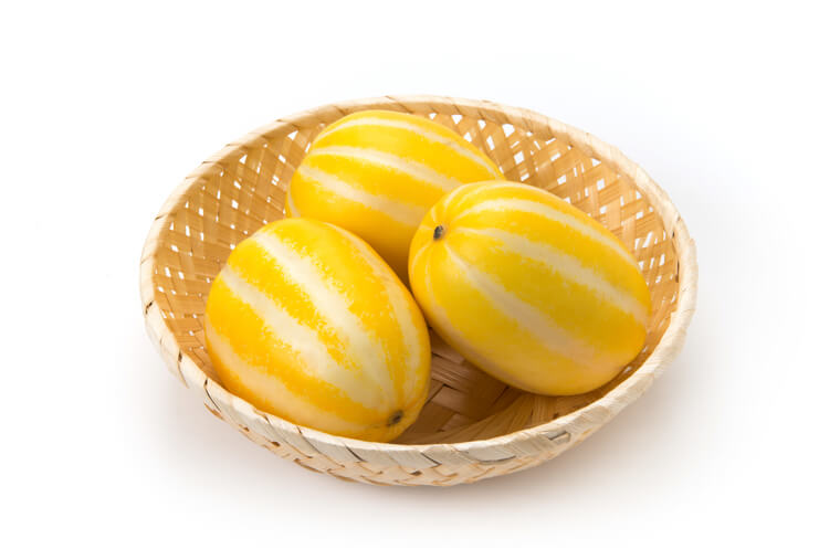 マクワウリの種まき〜収穫までの育て方！栽培時期や剪定・摘芯の方法など｜育て方Labo(育て方ラボ)